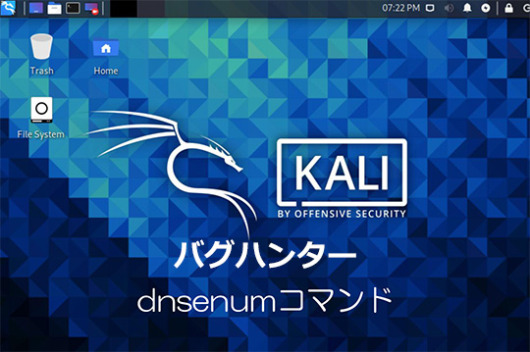 バグハンター視点によるdnsenumツール(Kali Linux)の使い方(情報収集/DNS分析ツール) | AIを武器にホワイトハッカーになる