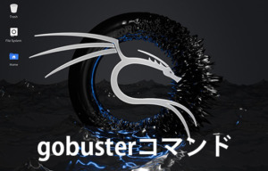 ハッカーはgobusterを利用して、隠れたディレクトリ・サブドメインを発見します。(Kali Linuxツール説明) | AIを武器に ...