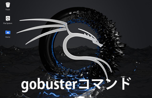 ハッカーはgobusterを利用して、隠れたディレクトリ・サブドメインを発見します。(Kali Linuxツール説明) | AIを武器に ...