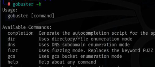 ハッカーはgobusterを利用して、隠れたディレクトリ・サブドメインを発見します。(Kali Linuxツール説明) | AIを武器にホワイトハッカーになる
