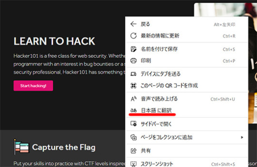 バグハンターのスキルを磨くHacker101 | AIを武器にホワイトハッカーになる
