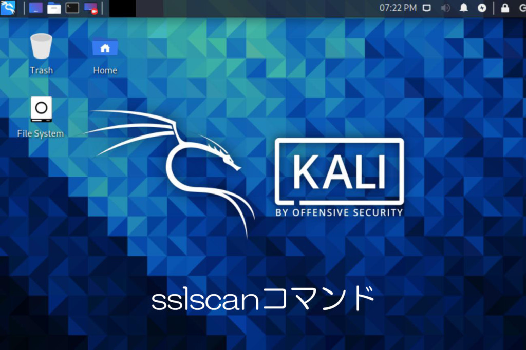 ハッカーはsslscanでサーバのSSL/TLS状態を調査する(Kali Linuxツール説明) | AIを武器にホワイトハッカーになる