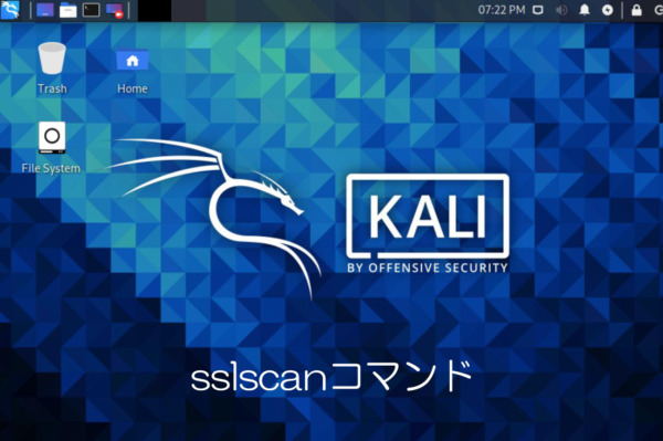 ハッカーはsslscanでサーバのSSL/TLS状態を調査する(Kali Linuxツール説明) | AIを武器にホワイトハッカーになる