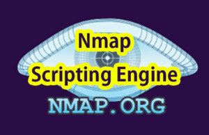 ハッカーはNmap Scripting Engineを利用して、ネットワーク探査やセキュリティ監査を行い脆弱性を見つける | AIを武器にホワイトハッカーになる