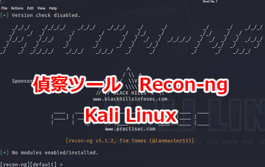 ハッカーはRecon-ngでシステムやネットワークに関する情報を収集し偵察する(Kali Linuxツール説明) | AIを武器にホワイト ...