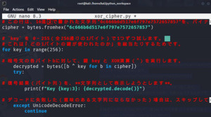 ハッカーは、CTFでXOR暗号の仕組みと復号の基本テクニックを学ぶ | AIを武器にホワイトハッカーになる